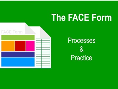 Summary of Funding authorization and certificate of expenditure (FACE) Form